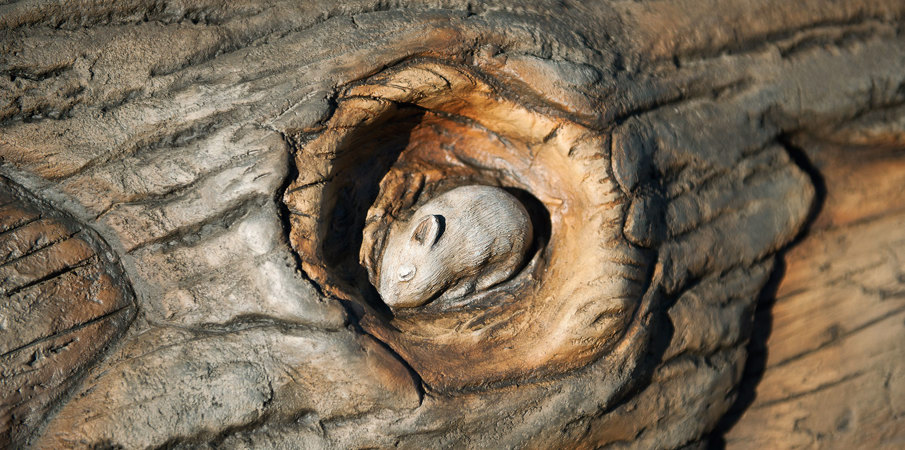 Play Naturally Log Crawl Playground Tunnel