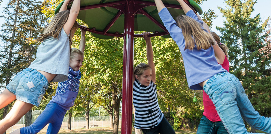 Flywheel® Spinner - Fly & Spin – Freestanding Play - Landscape Structures