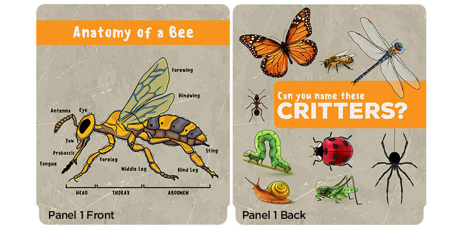 Crawling Critters - Themed Playground