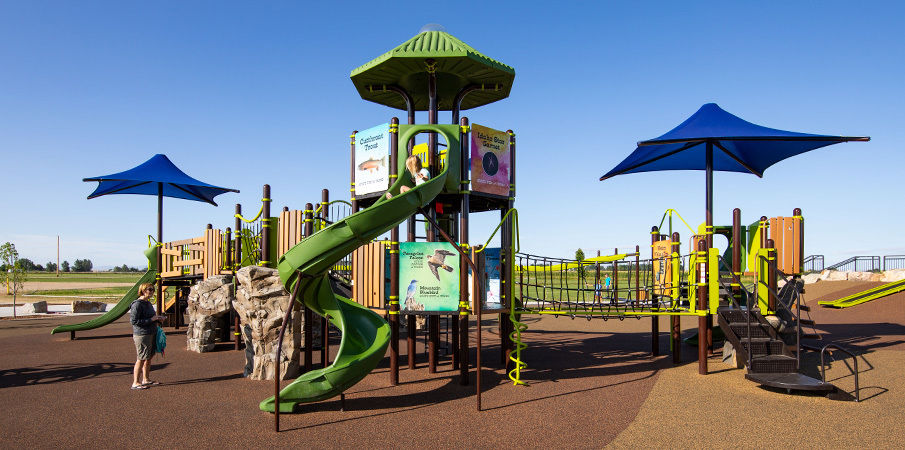 Discovery Park - Natural Play Playground
